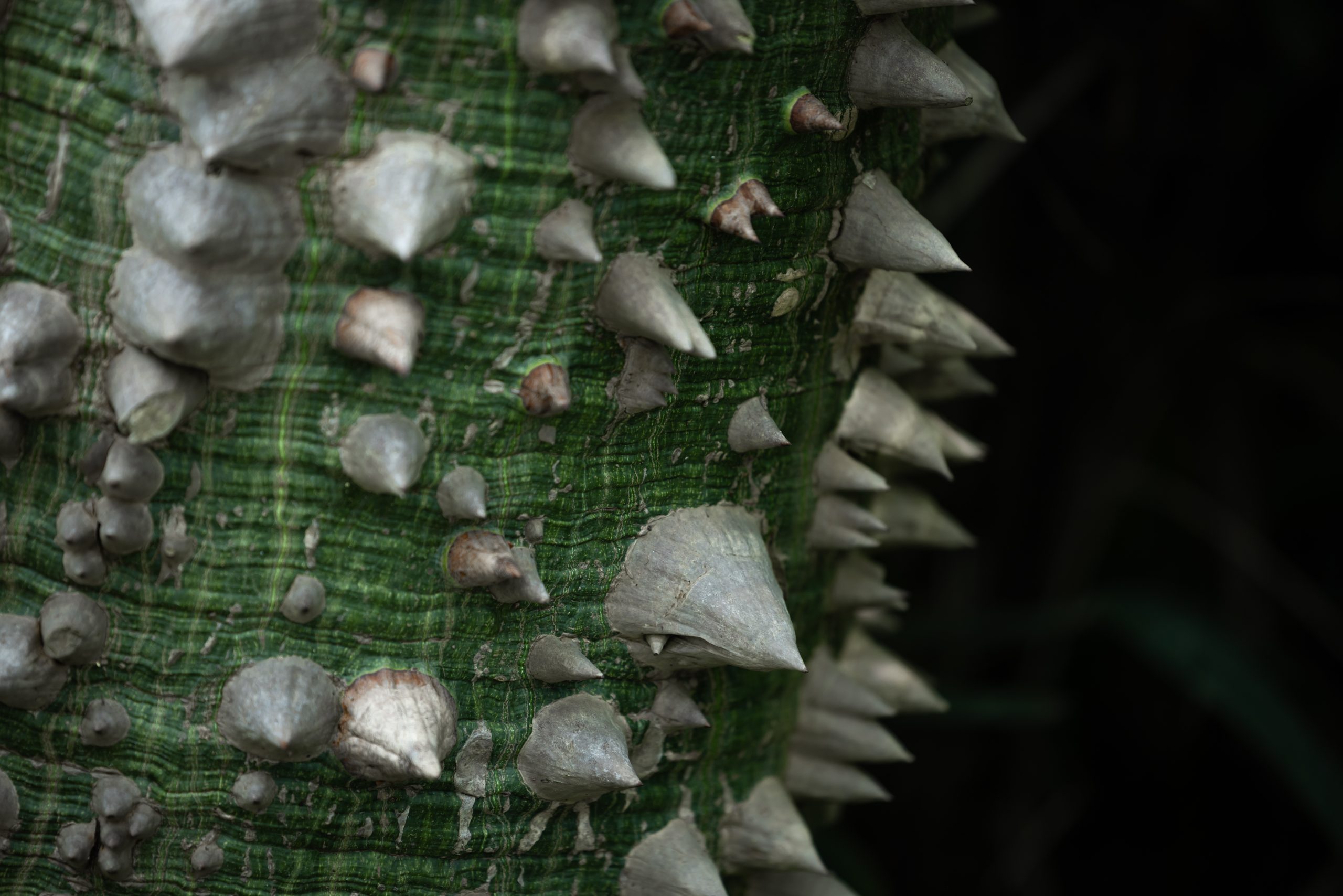 Defensiveness And Identity - Matthew Hahn